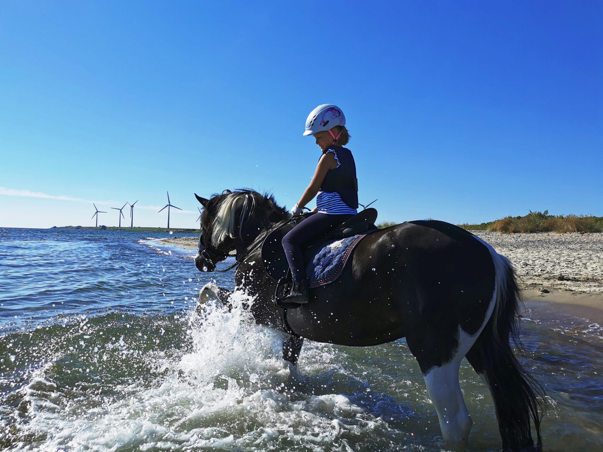 Ferienhof Nina Weilandt - Pony-Führerschein©